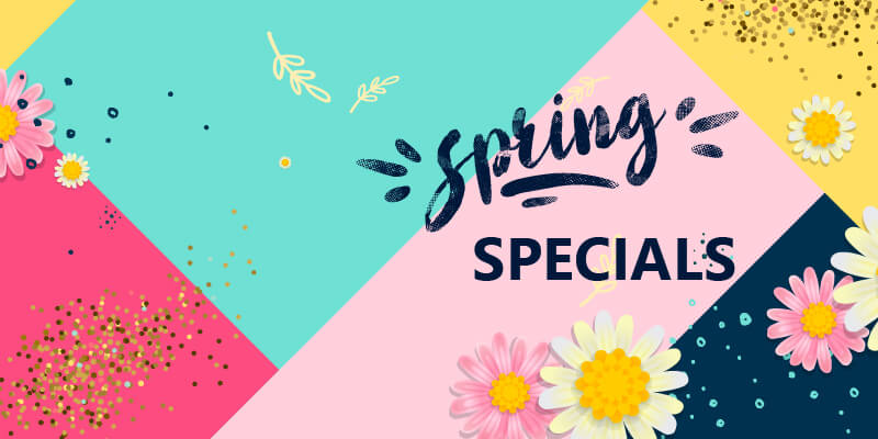 Reverse Osmosis & Whole House Water Filtration Systems – Express Water